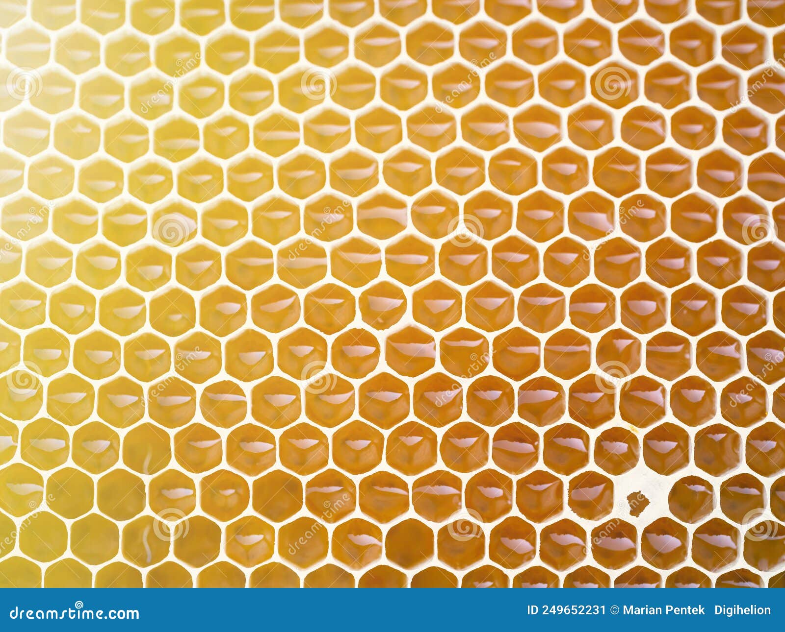 Beekeeping - Close-up of Cells Filled with Honey. Background Texture ...