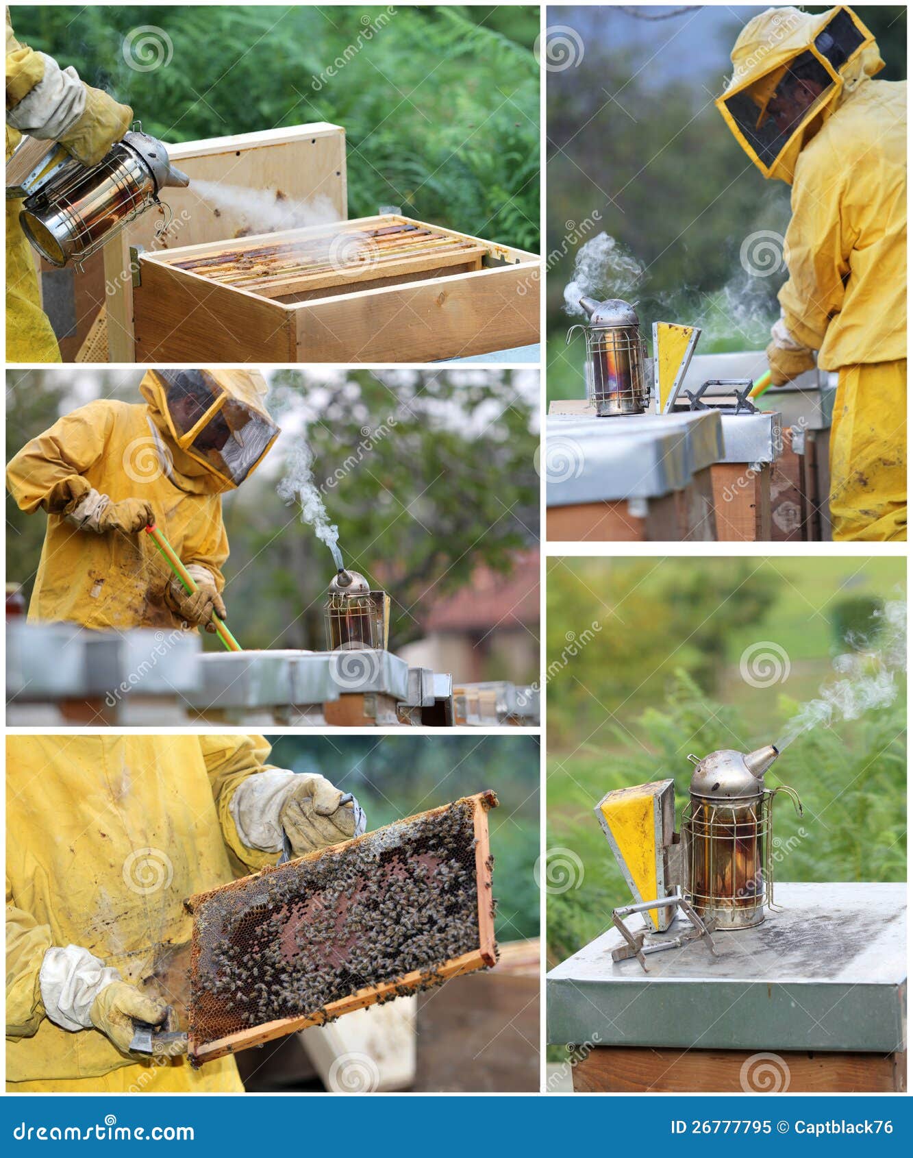 Beekeeping collage stock image. Image of hexagonal, hive - 26777795