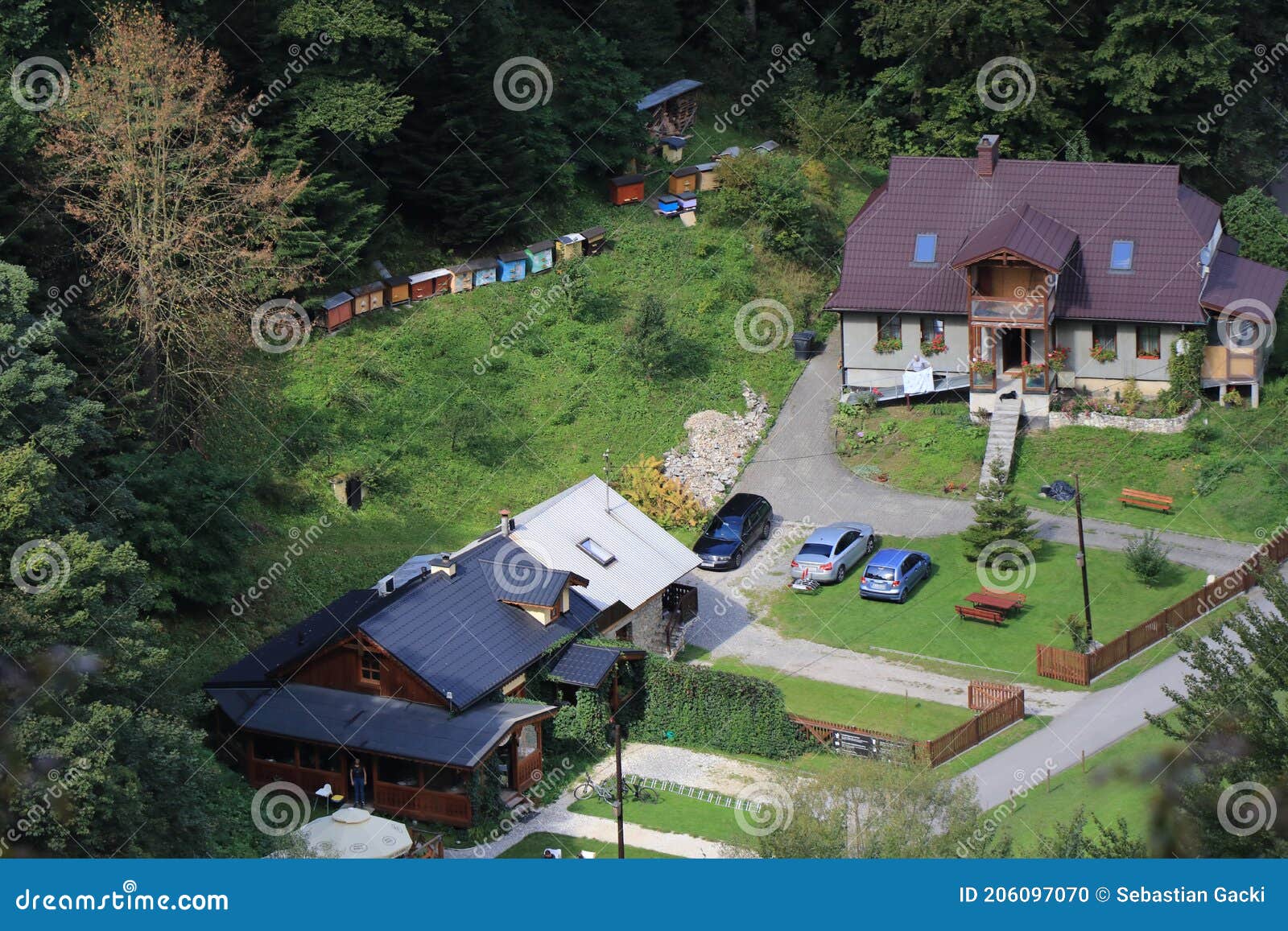 Beekeeping farm stock photo. Image of strazyska, park - 206097070