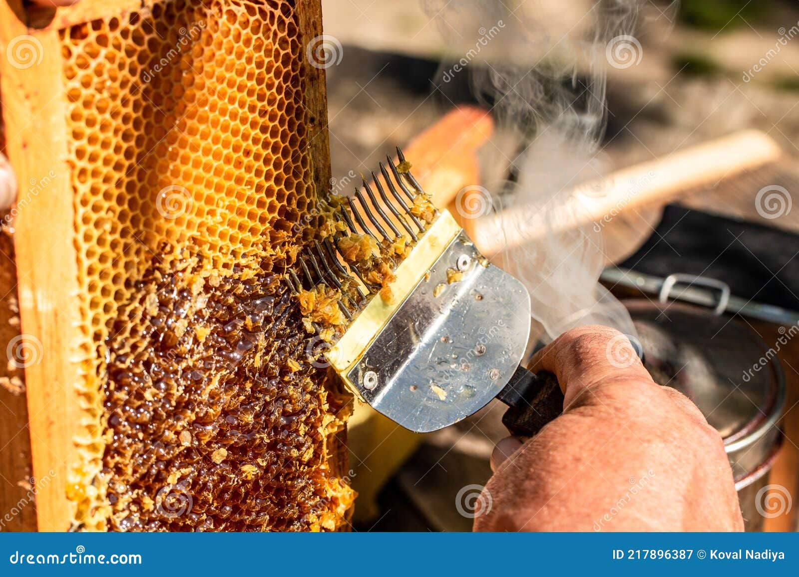 Beekeeping. Frames For Honey Extraction, A Tool Of The Beekeeper To ...