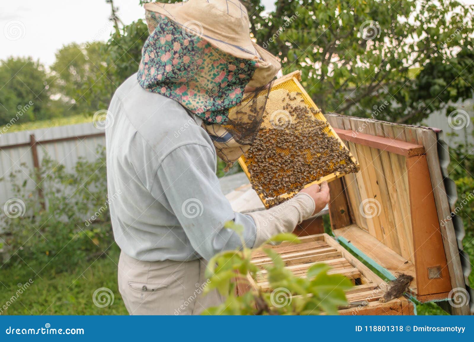 Beekeeping at Home Beekeeping at Home Beekeeping at Home Stock Photo ...