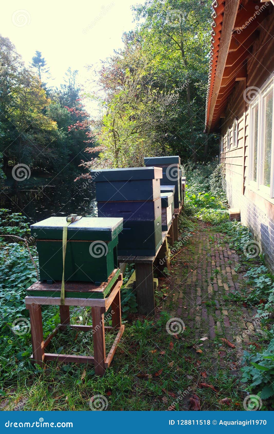 Beekeeping honey farm stock photo. Image of landscape - 128811518