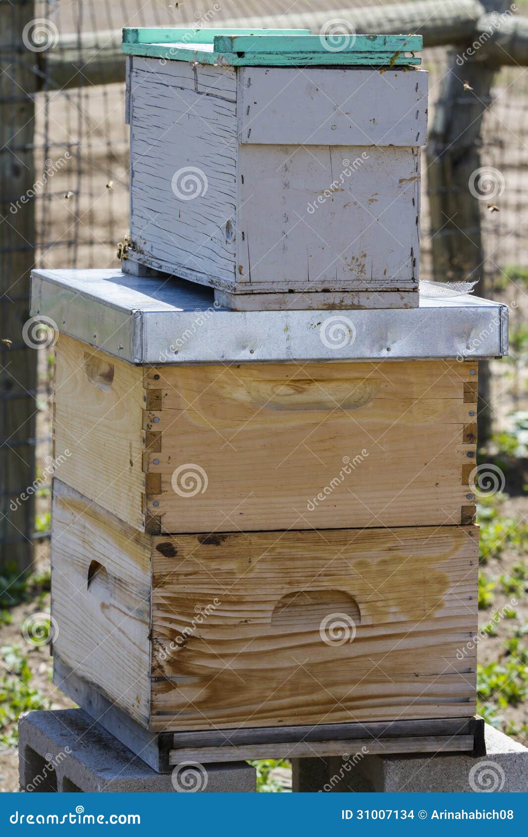Beekeeping stock photo. Image of organic, cover, wooden - 31007134