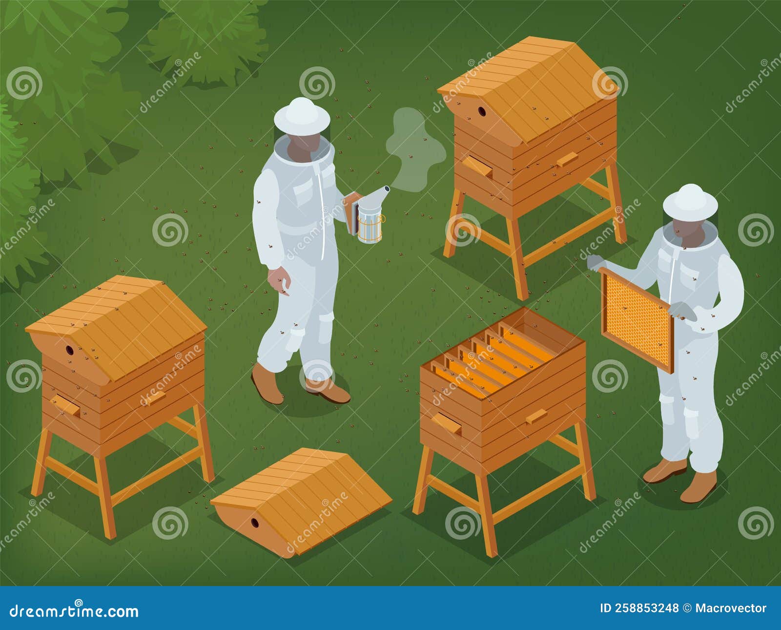 Beekeeping Isometric Flowchart Cartoon Vector | CartoonDealer.com ...