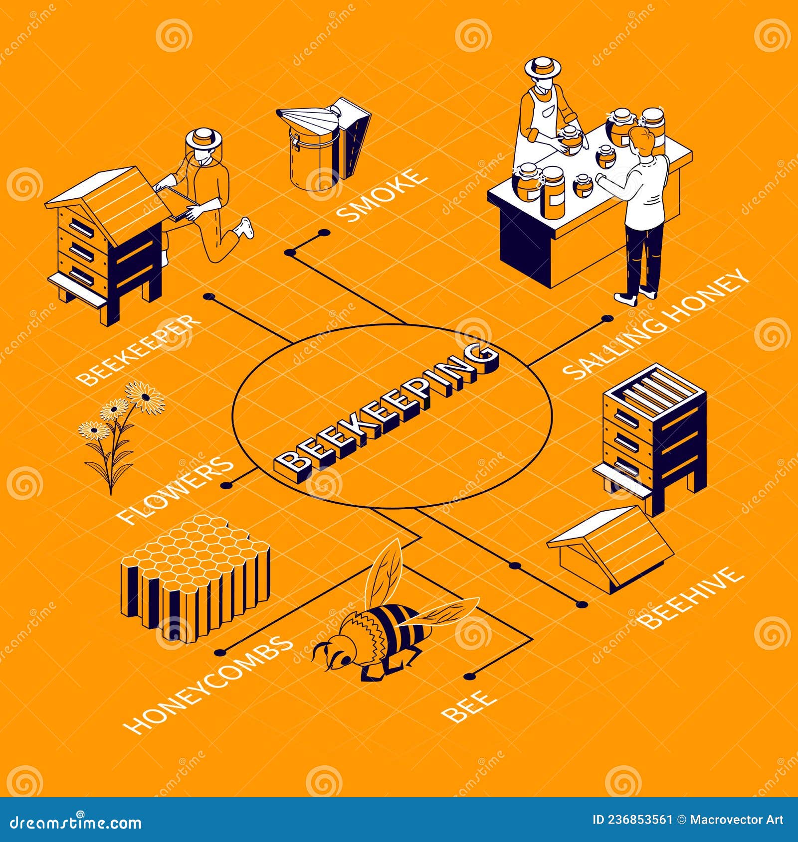 Beekeeping Isometric Flowchart Cartoon Vector | CartoonDealer.com ...