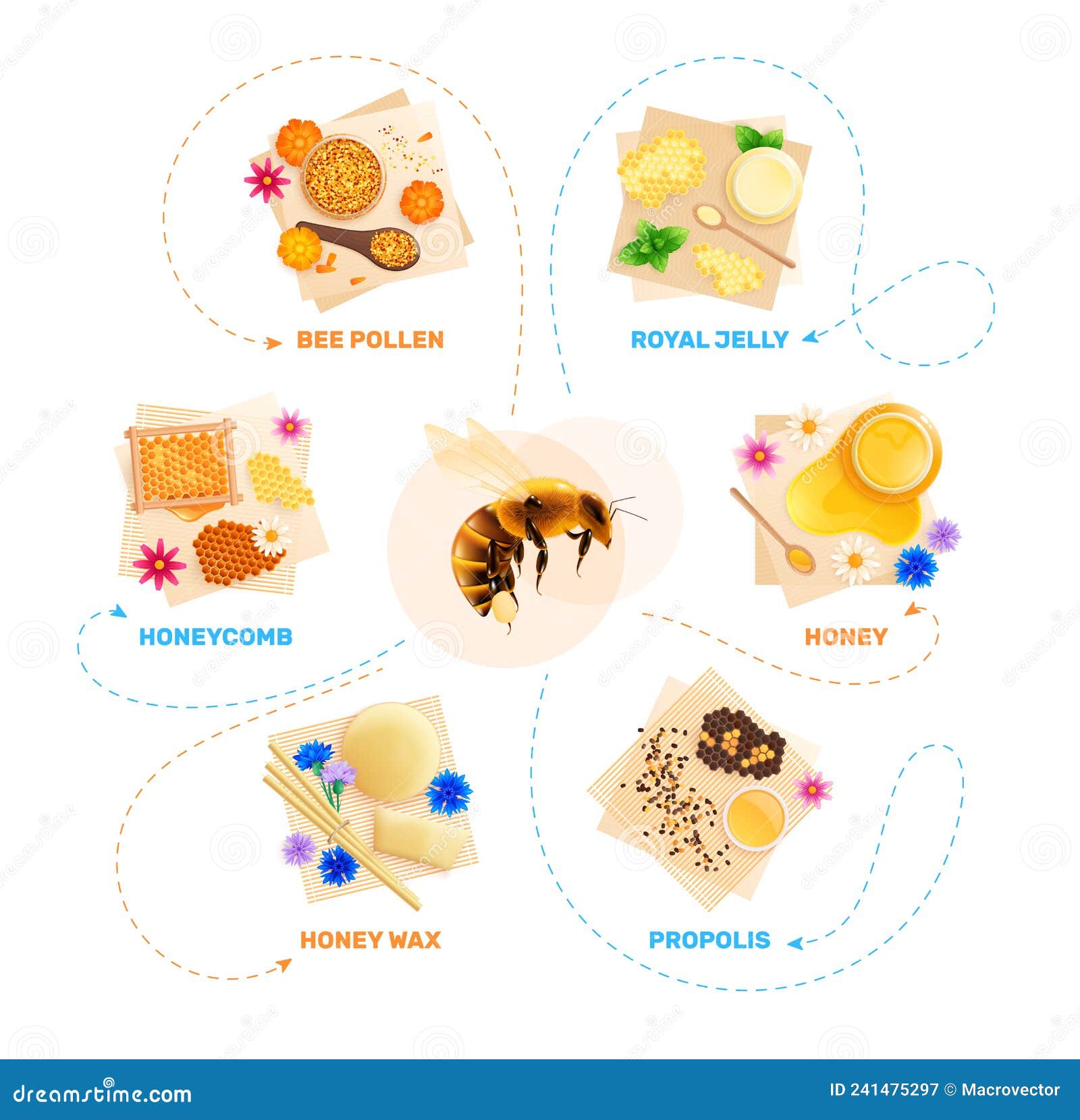 Beekeeping Products Flowchart Infographics Stock Vector - Illustration ...