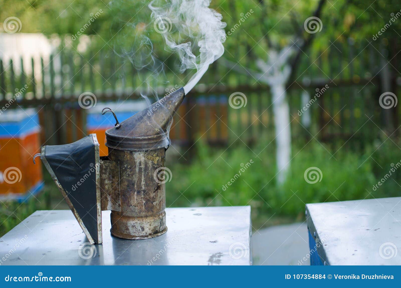 Beekeeping Smoker on the Bee Hive. Getting Honey from the Hive Stock ...