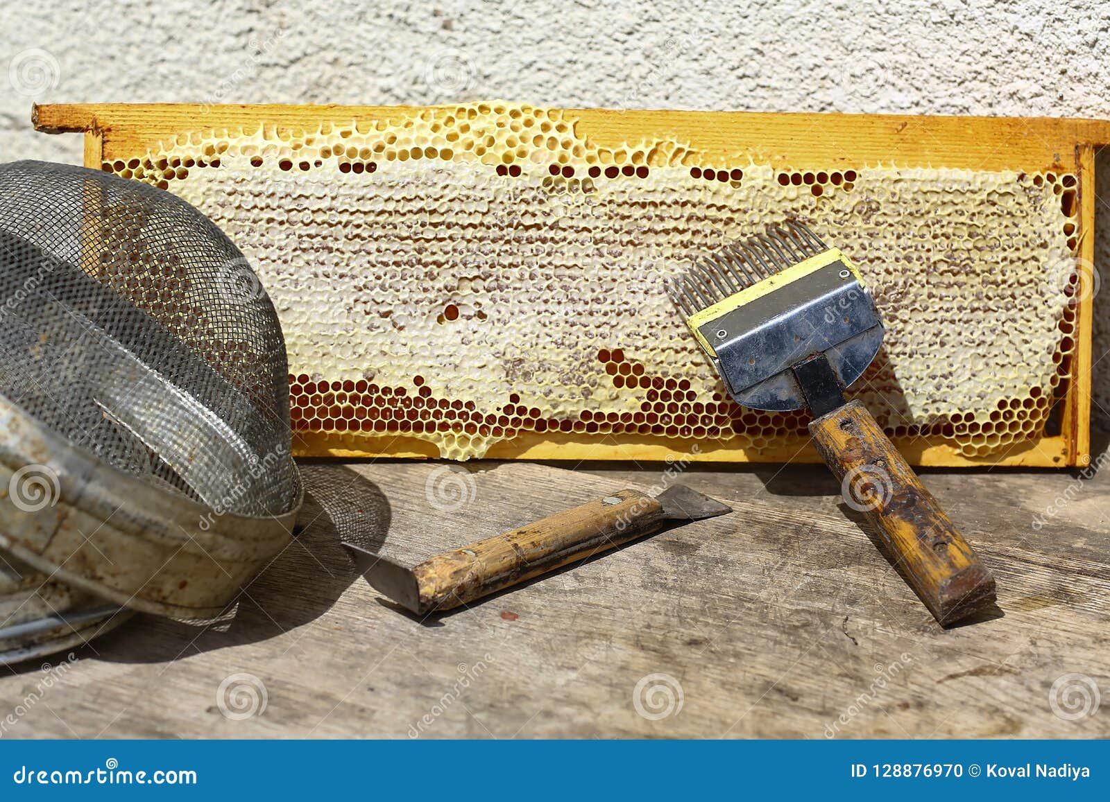 Beekeeping Tools. Various Beekeeping Equipment on the Old Wooden Table ...