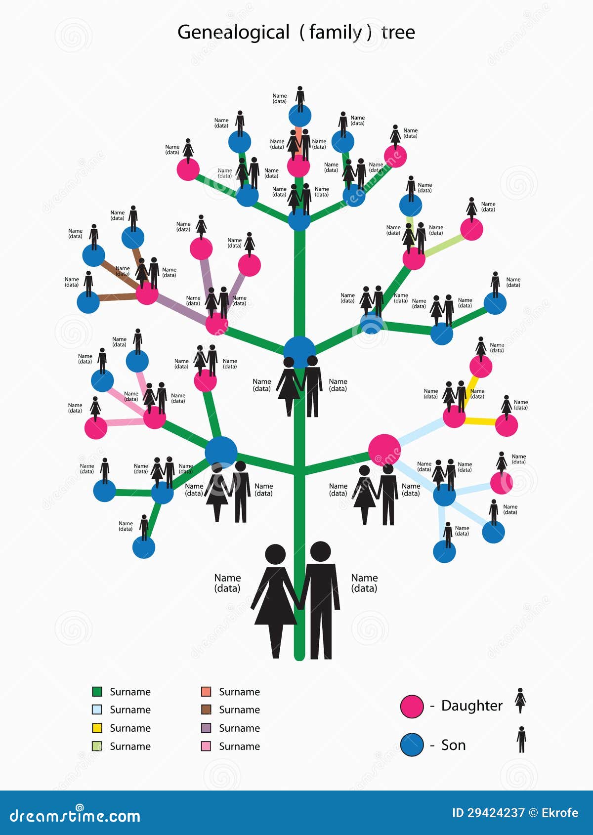 Beeld Van De Genealogische Stamboom Stock Illustratie - Illustration of ...