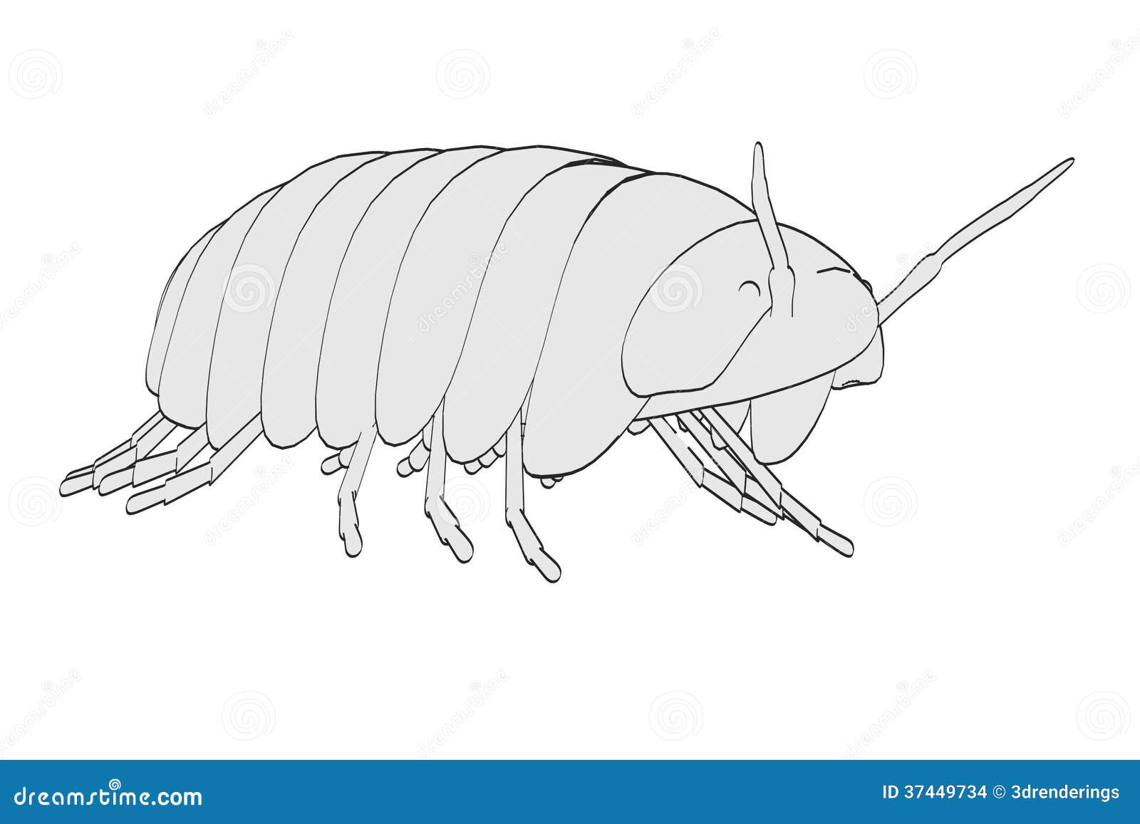 Beeld van pissebed stock illustratie. Illustration of beeld - 37449734