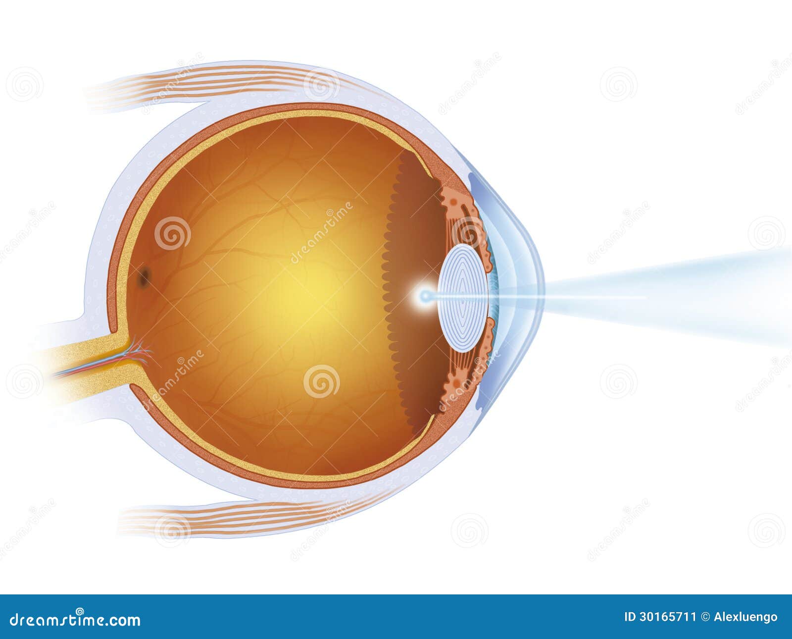 De Behandeling Van De Laser Op Het Oog Stock Illustratie - Illustration ...