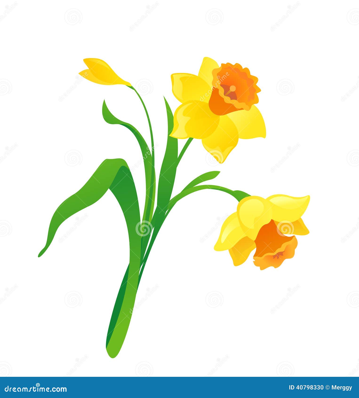 Beeldverhaalgele narcis vector illustratie. Illustration of mooi - 40798330