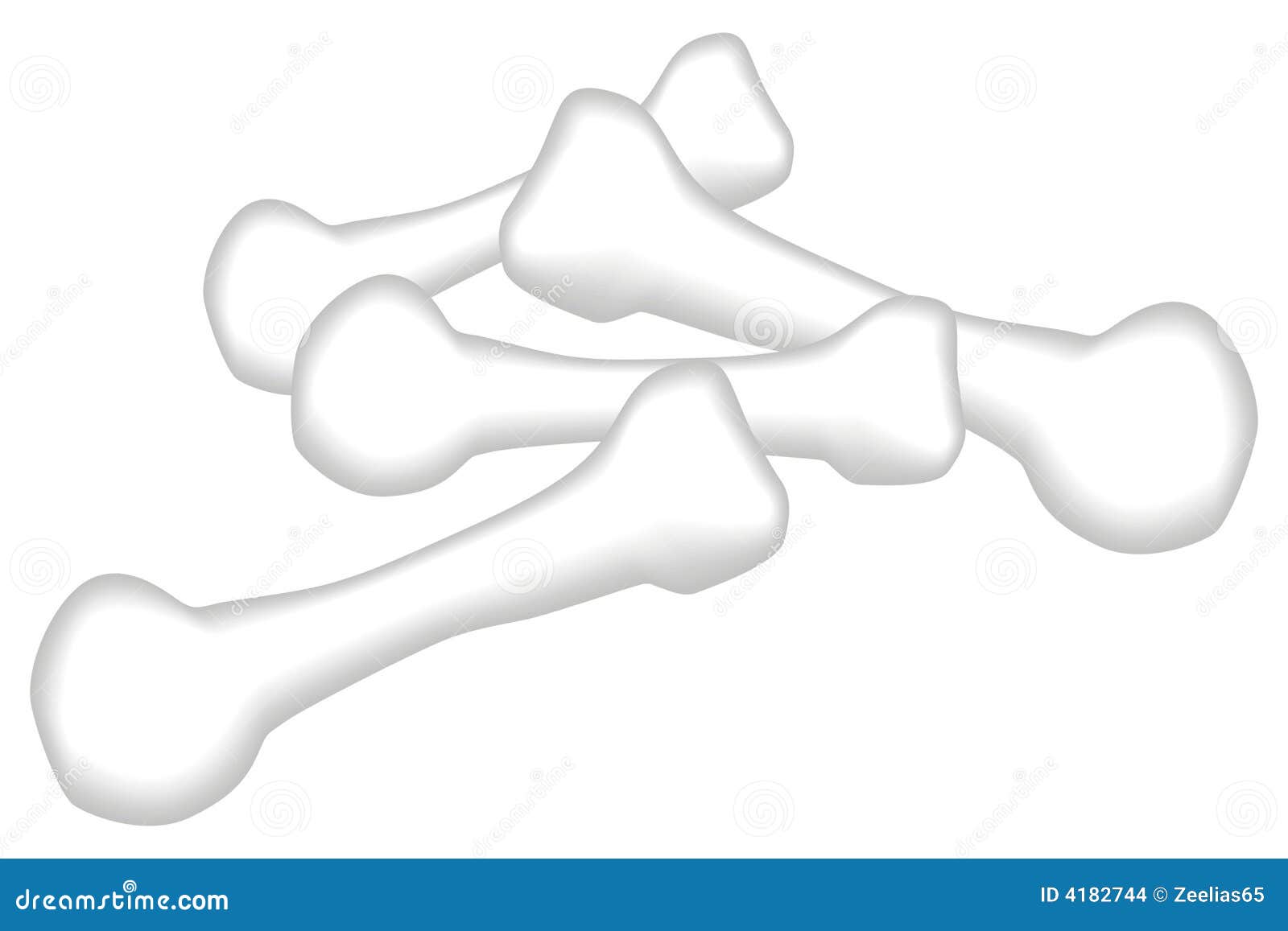 Beenderen vector illustratie. Illustration of beenderen - 4182744