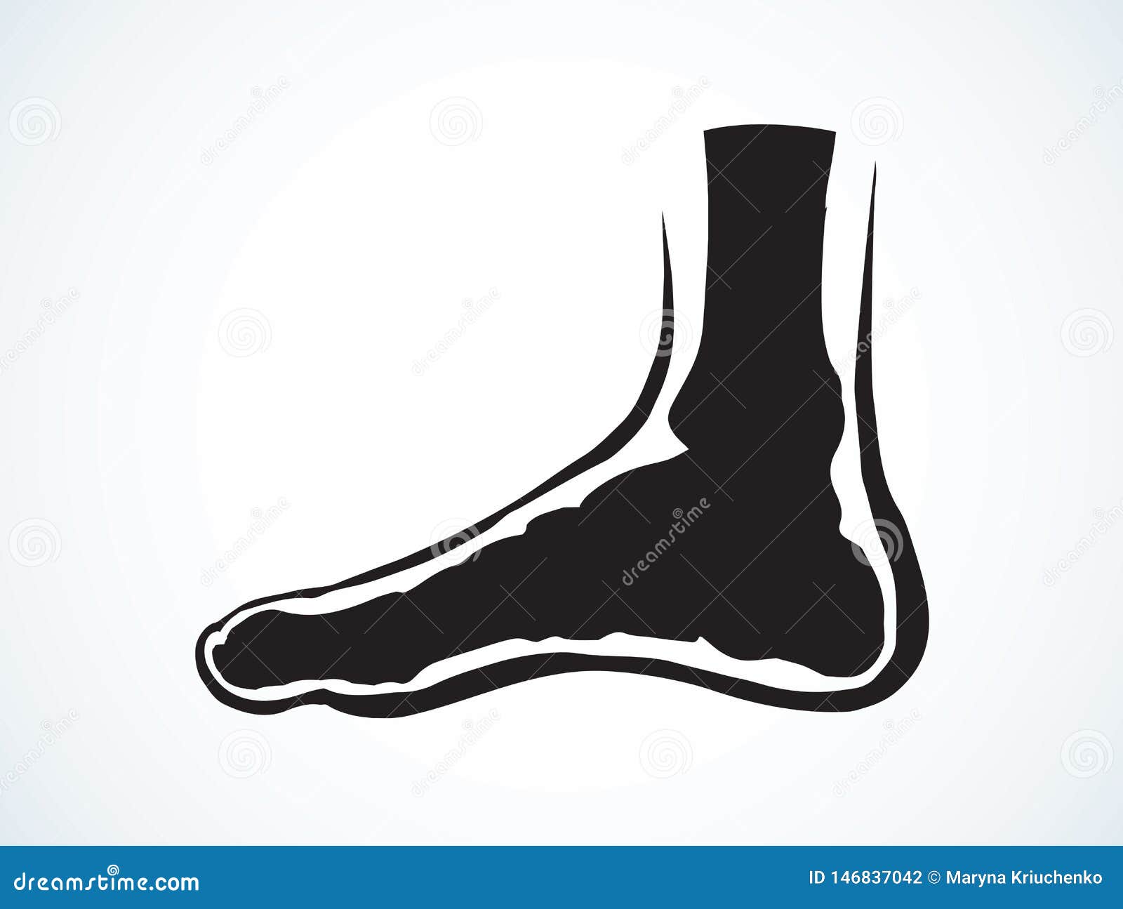 Beenderen Van De Voet Vector Tekening Vector Illustratie - Illustration ...