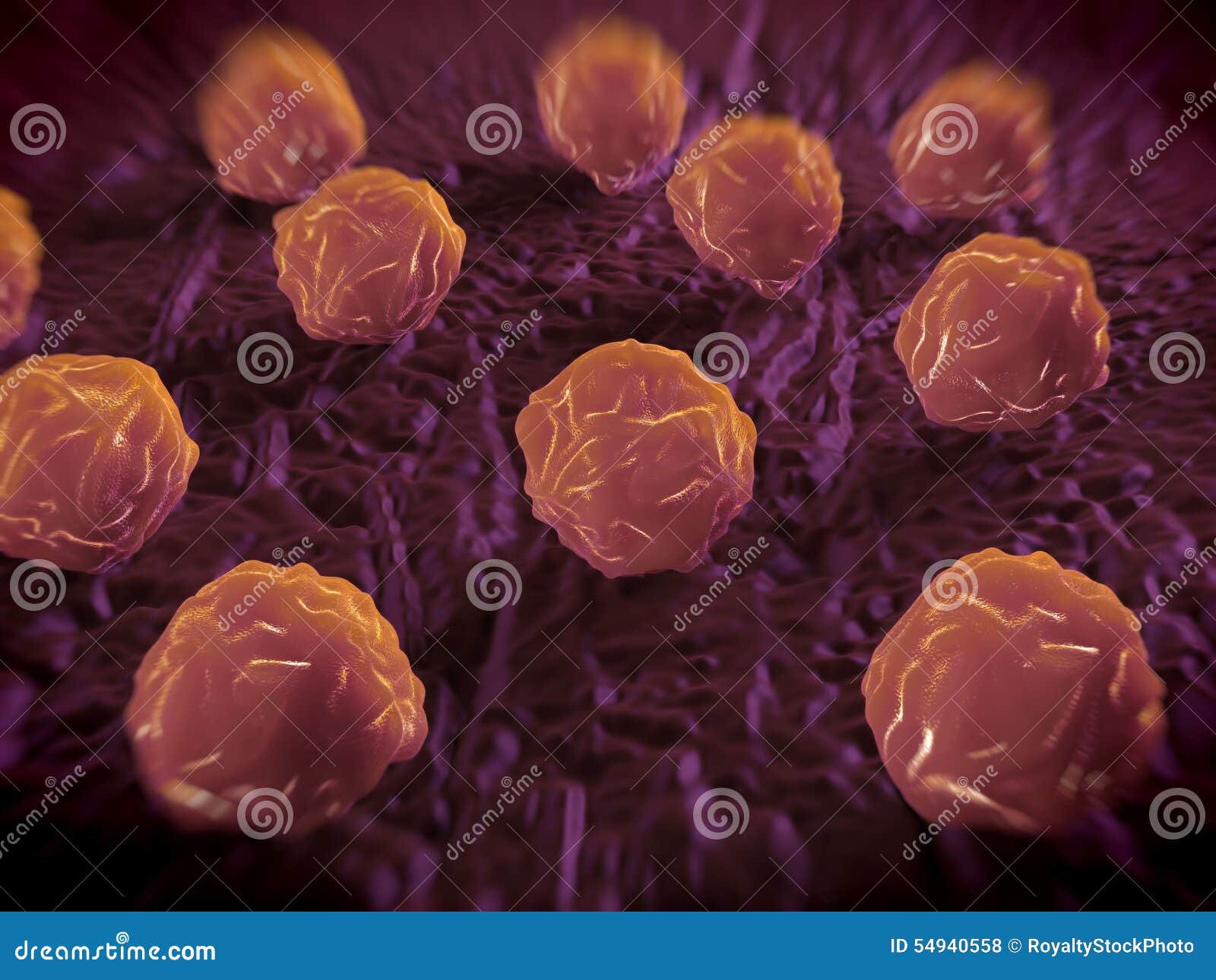 Beendermerg, stamcellen stock illustratie. Illustration of afgerond ...