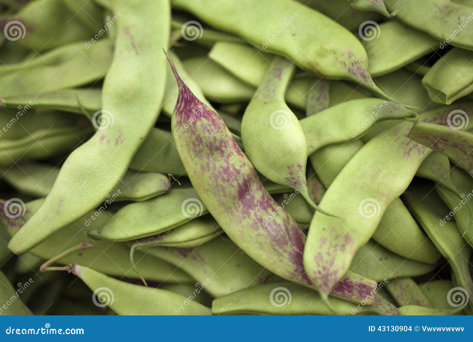 Beens stock photo. Image of nutrition, background, vegetables - 43130904