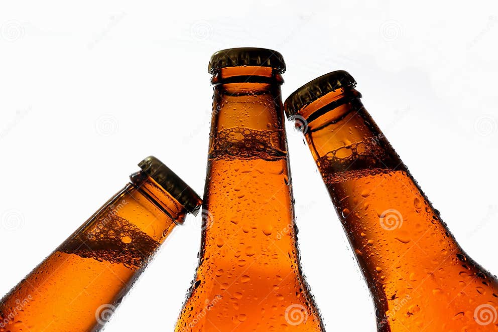 Beer stock photo. Image of restaurant, soda, malt, cold - 16811720
