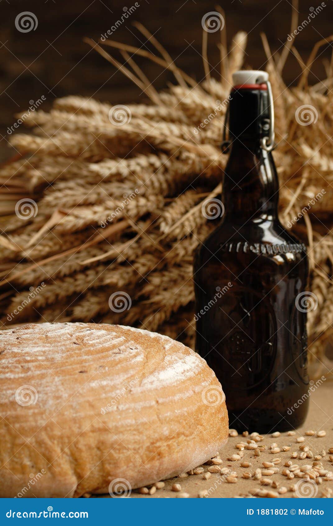 Beer stock photo. Image of seeds, healthy, corn, kitchen - 1881802