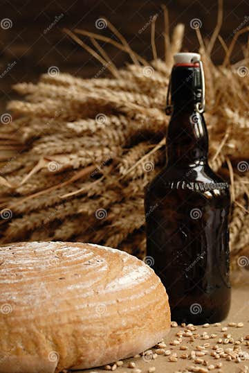 Beer stock photo. Image of seeds, healthy, corn, kitchen - 1881802