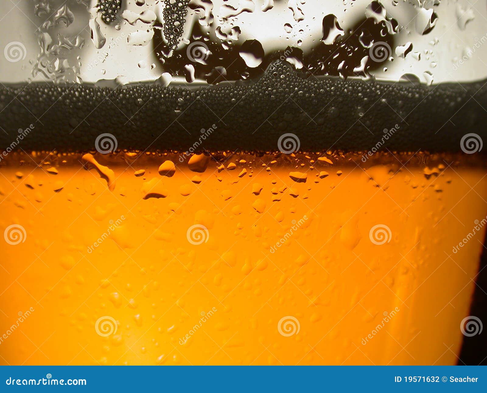 Beer stock photo. Image of brewery, bottle, refresh, closeup - 19571632