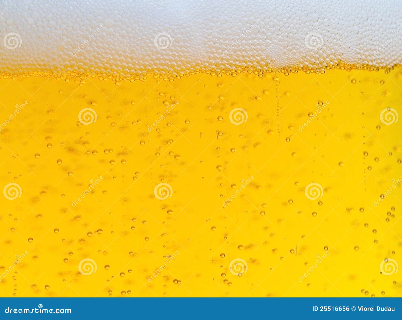 Beer stock photo. Image of full, brewed, refresh, bright - 25516656
