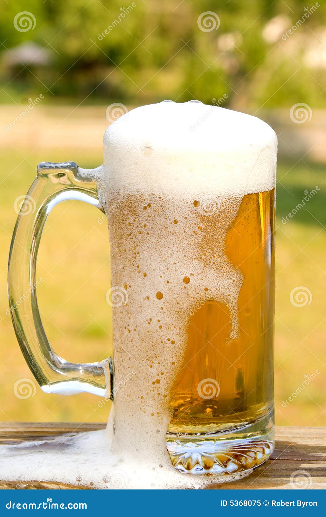 Beer stock image. Image of beverage, foam, froth, glass - 5368075