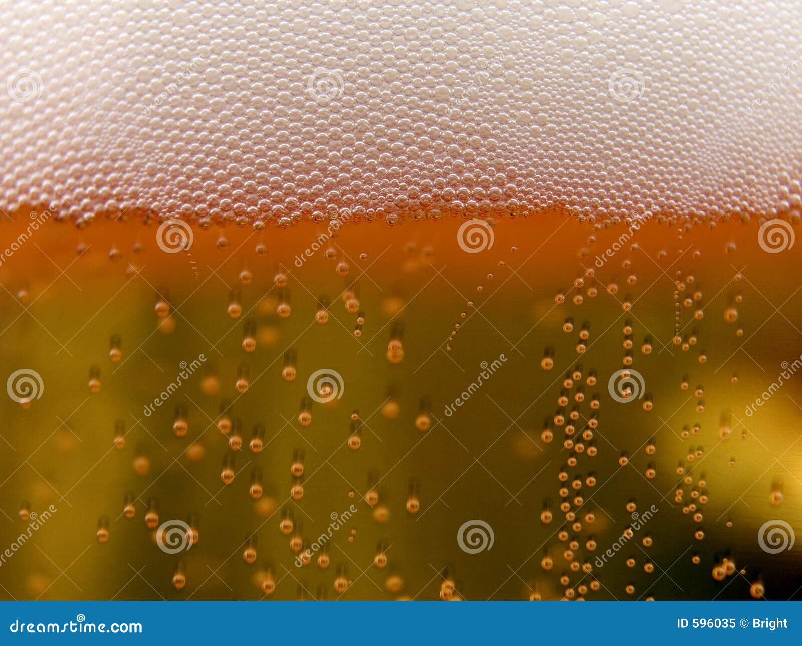 Beer stock image. Image of pilsener, alcohol, golden, carlsberg - 596035
