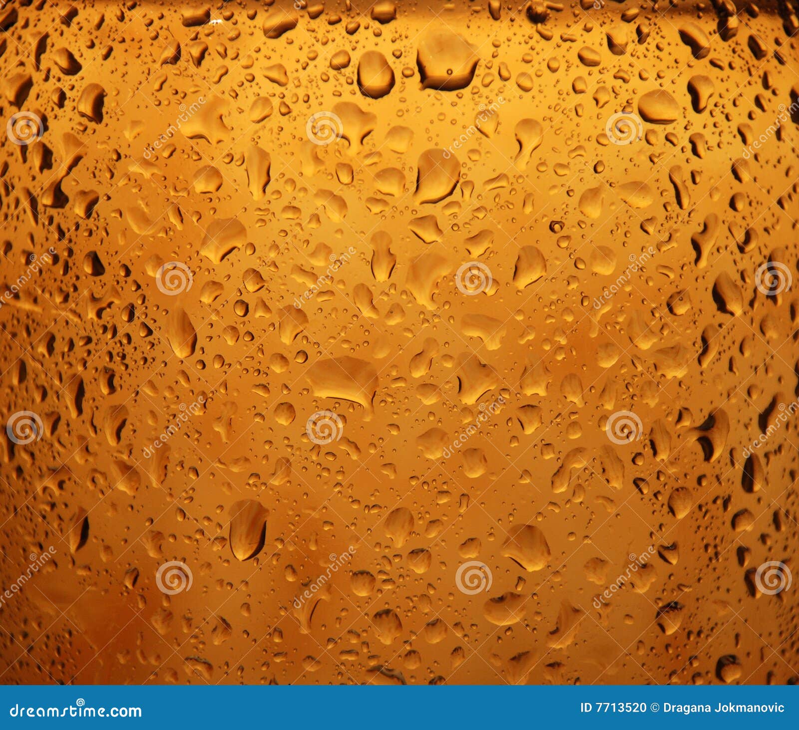 Beer stock photo. Image of droplets, water, closeup, drink - 7713520