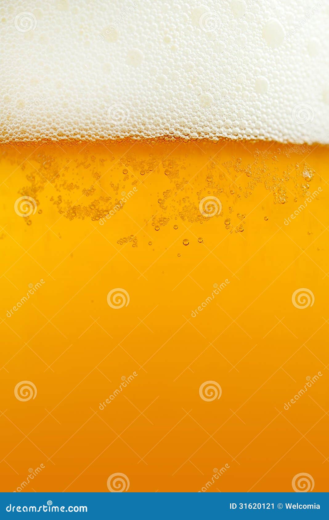 Beer Background stock image. Image of fresh, bubbles - 31620121