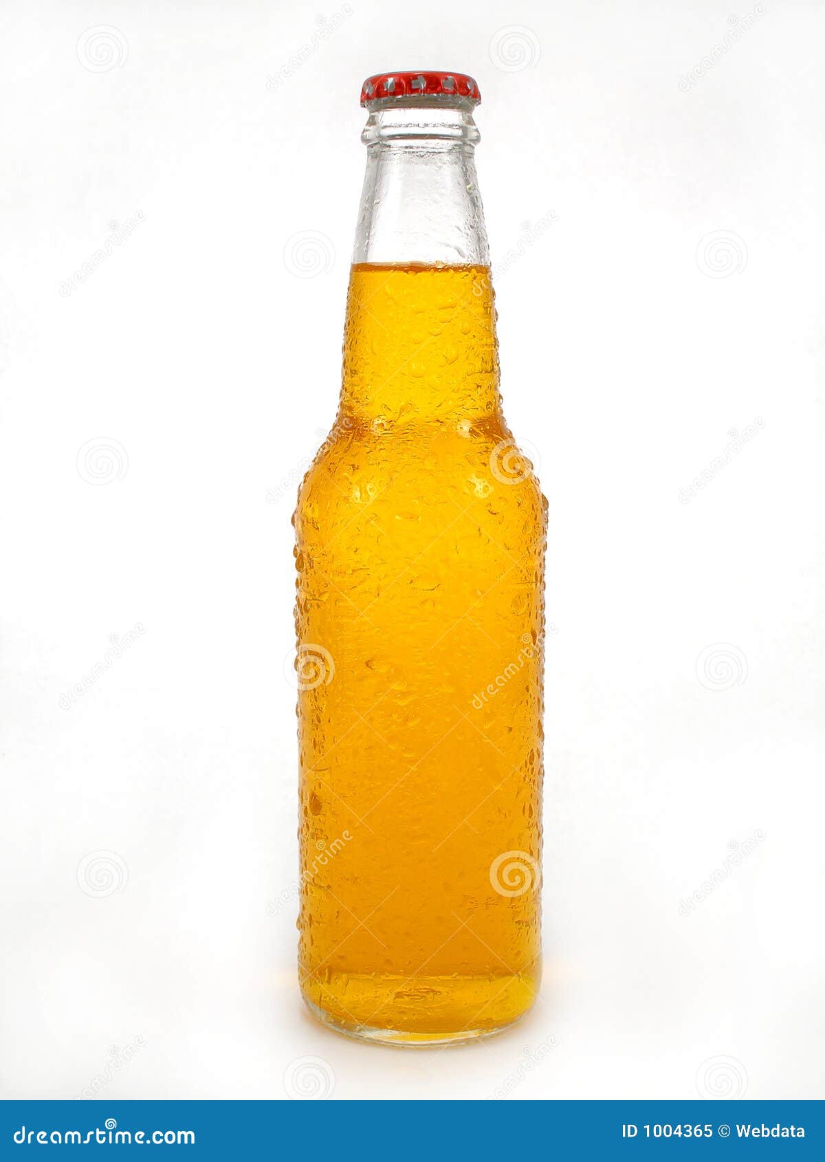 Beer Bottle stock image. Image of bottle, beer, water - 1004365