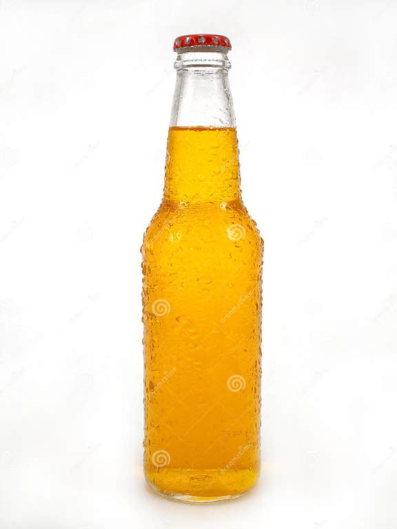 Beer Bottle stock image. Image of bottle, beer, water - 1004365