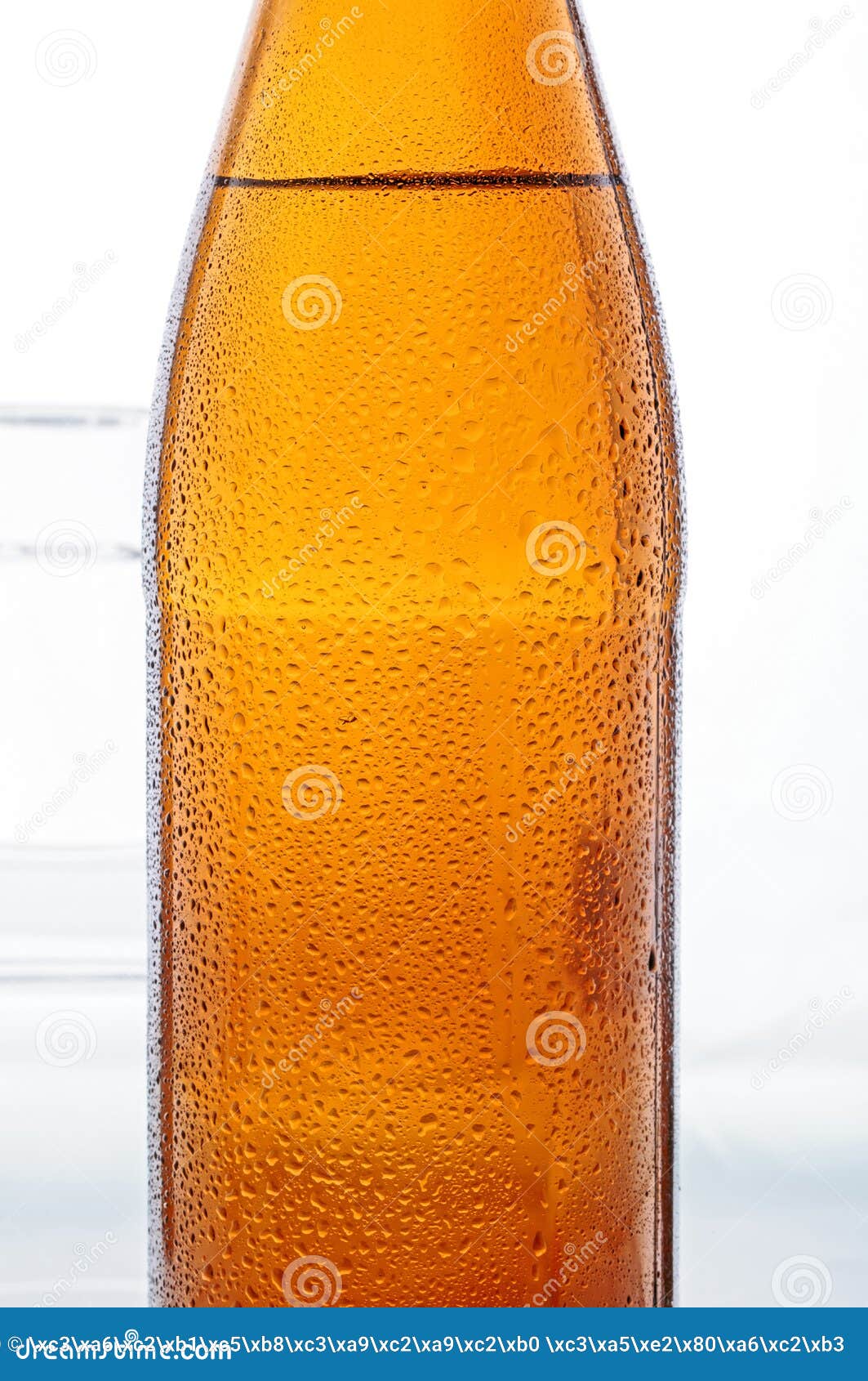 Beer Bottle Features a Glass of Beer and Water Isolation on White ...