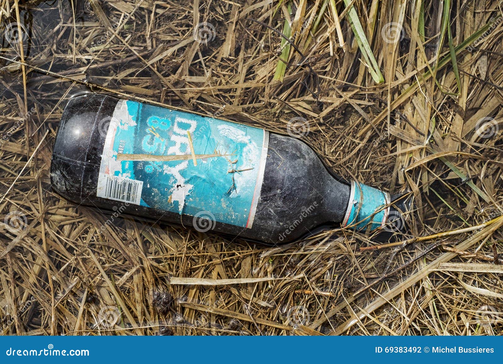 Beer bottle on grass stock photo. Image of city, rubbish - 69383492