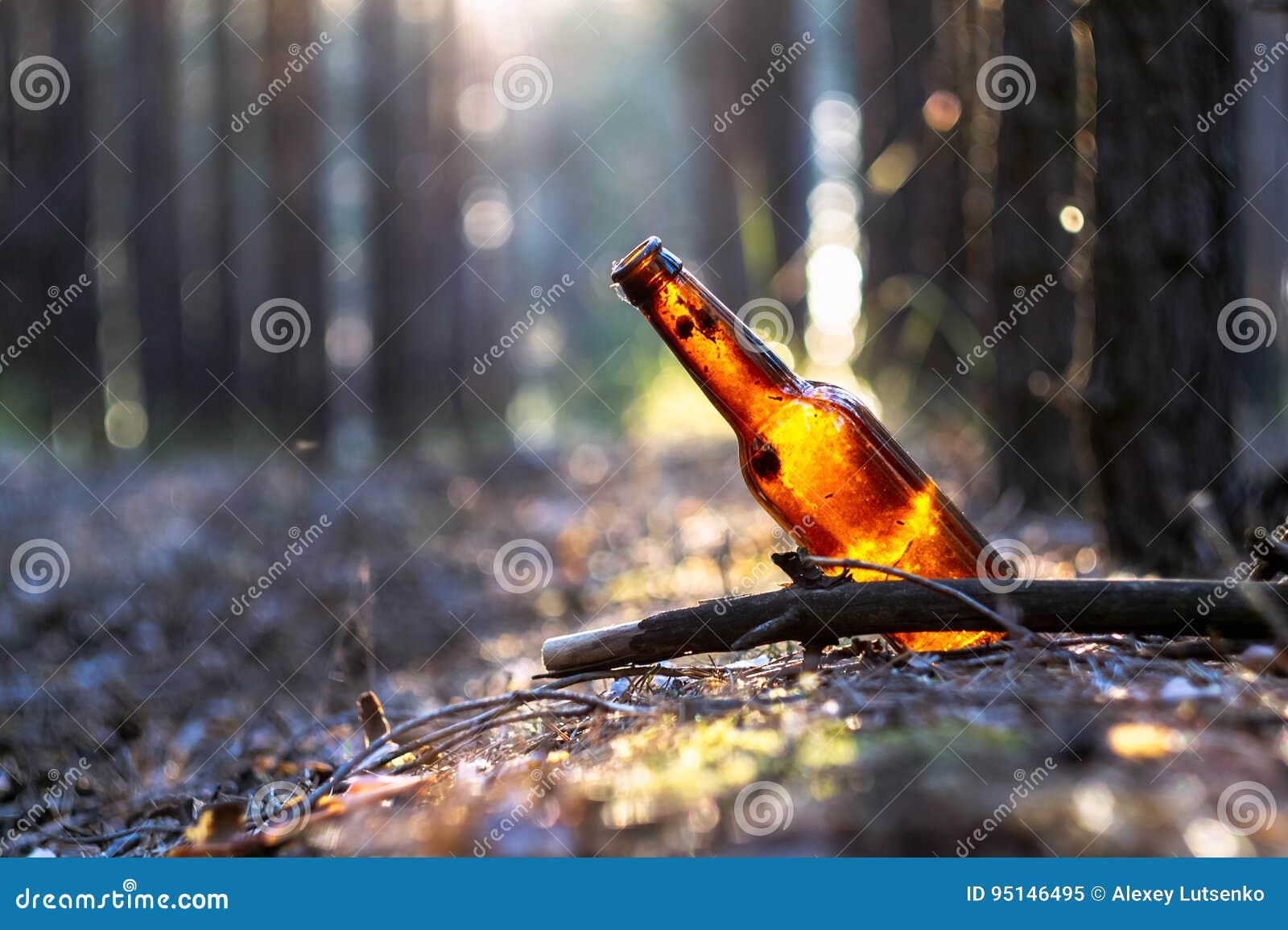 A Beer Bottle Stands in a Pine Forest. Stock Image - Image of drink ...