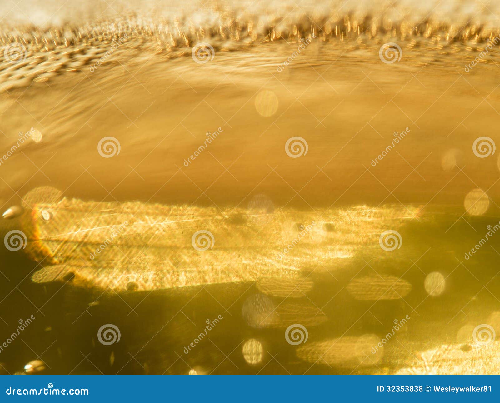 Beer bubble patterns stock photo. Image of closeup, refreshment - 32353838