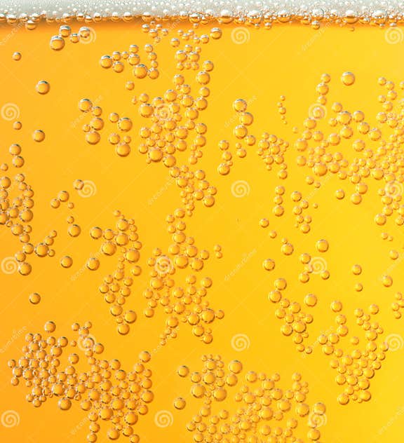 Beer bubbles stock photo. Image of brewery, brewed, macro - 13558900
