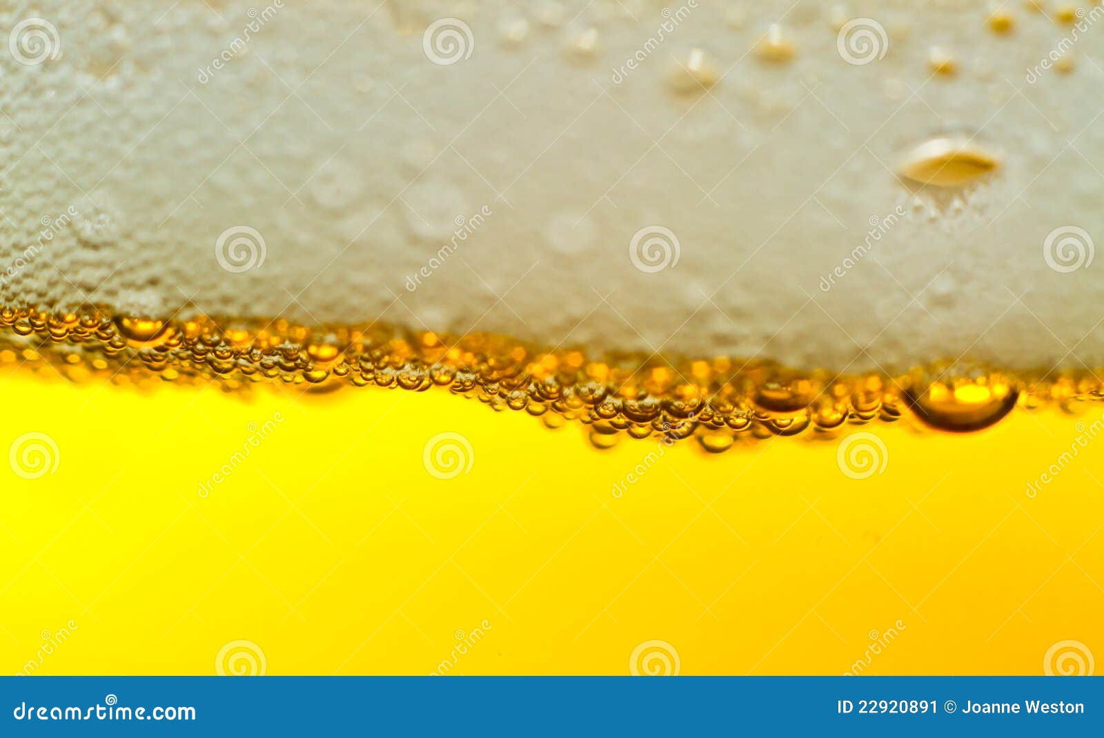 Beer bubbles stock image. Image of gold, cold, liquor - 22920891