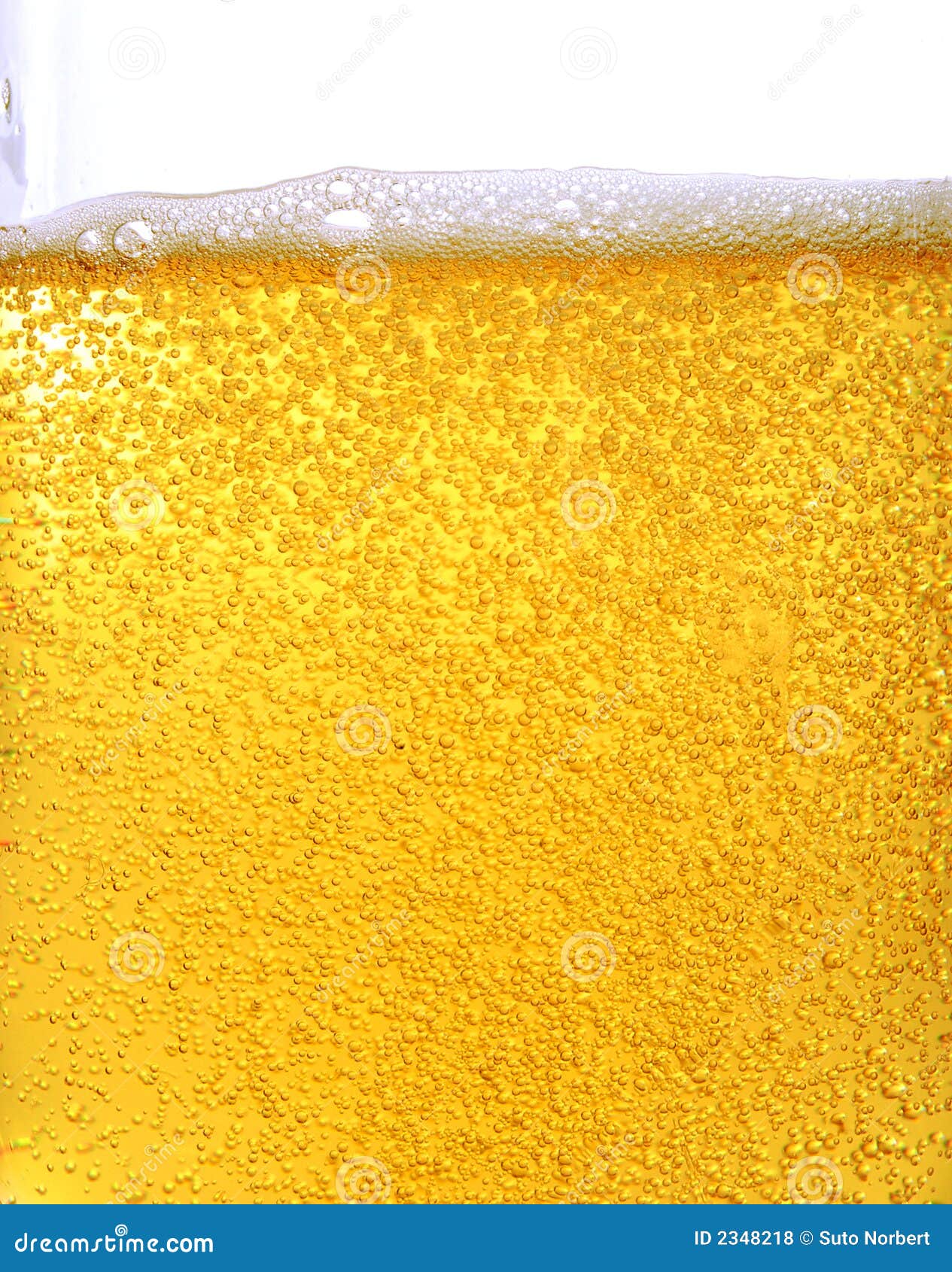 Beer and bubbles stock photo. Image of drops, liquid, isolated - 2348218