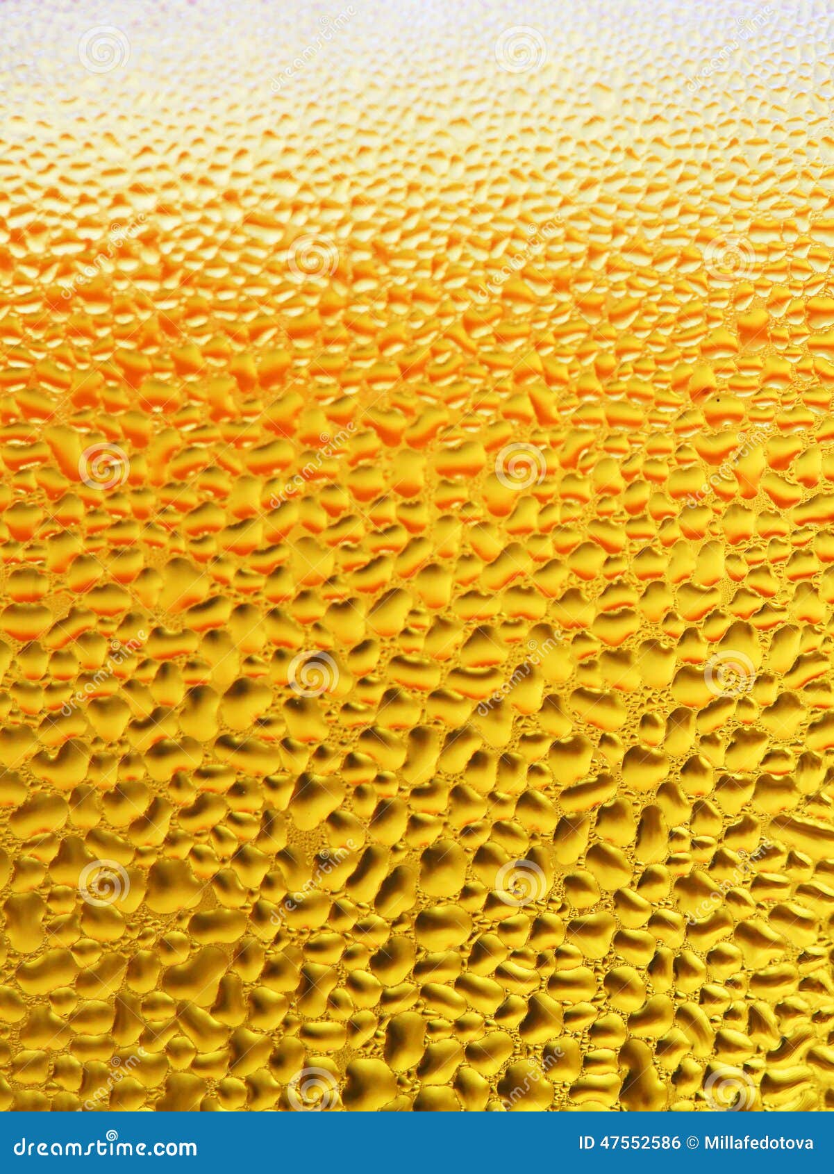 Beer Bubbles Macro Background Stock Photo - Image of background ...