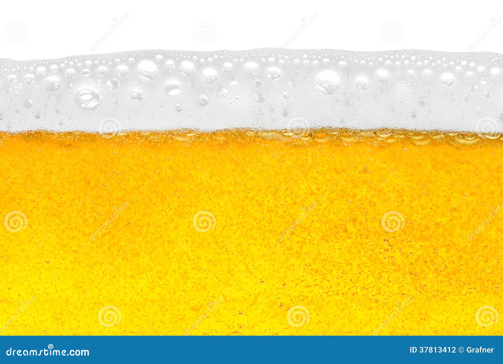 Beer close-up stock photo. Image of oktoberfest, evening - 37813412