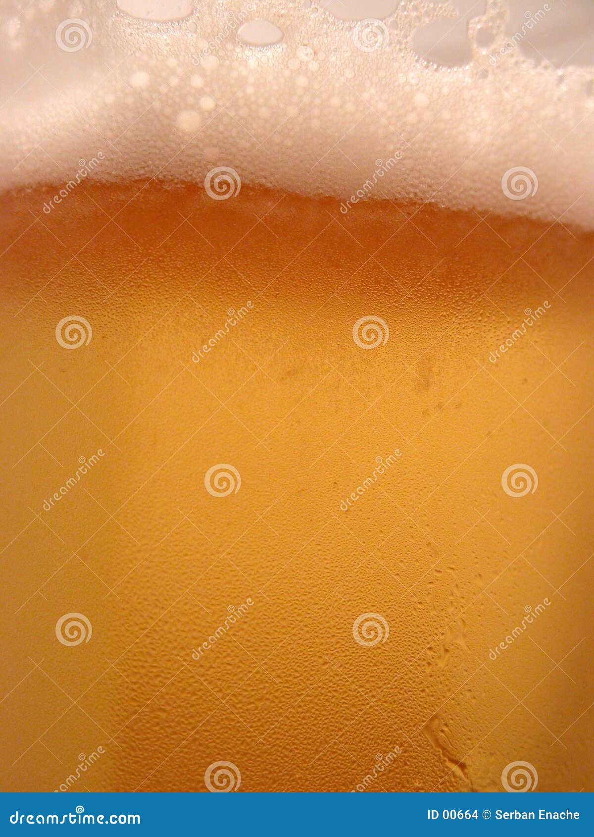 Beer closeup stock photo. Image of brew, beer, botle, german - 664