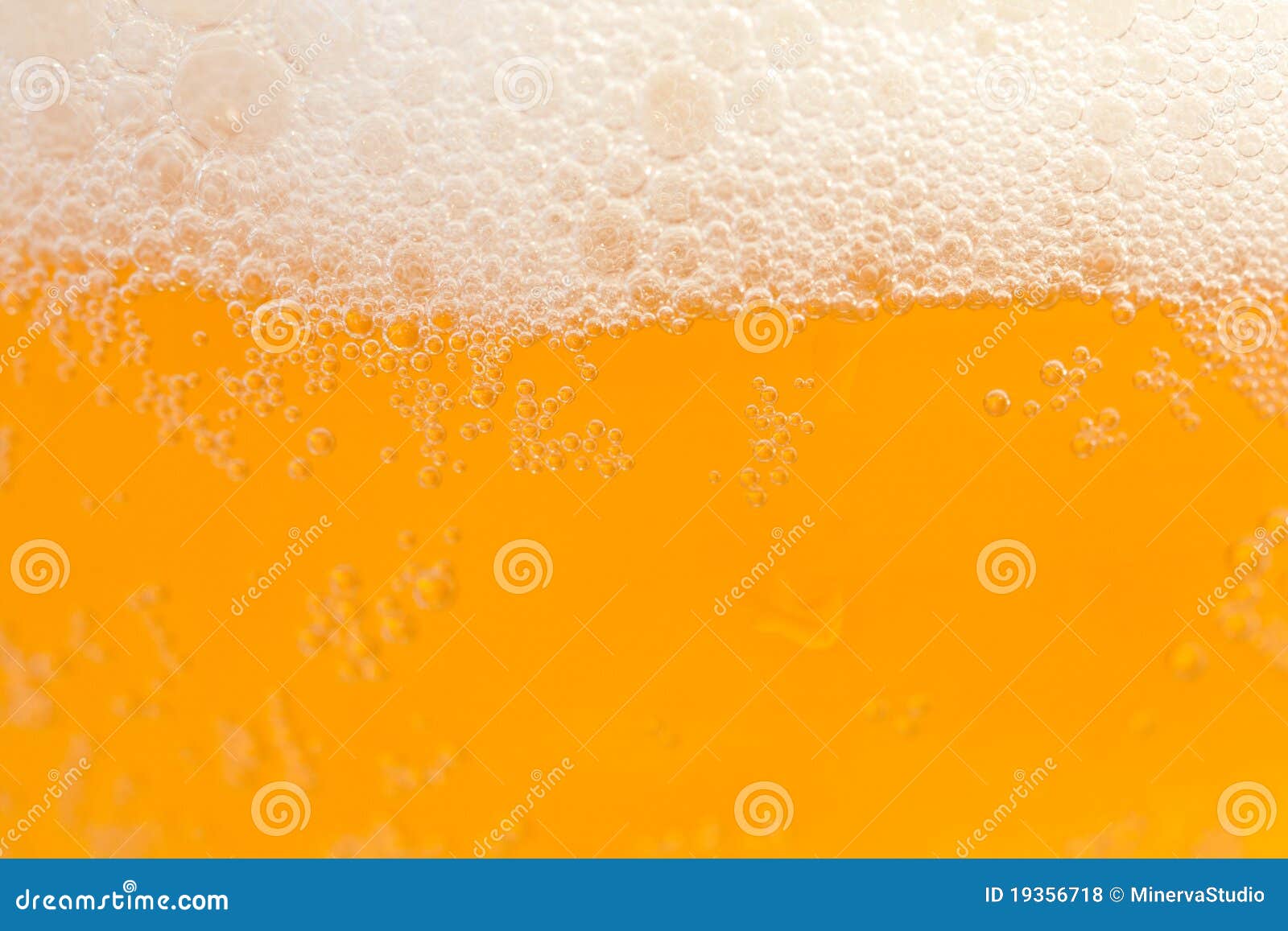 Beer closeup stock photo. Image of closeup, tavern, macro - 19356718