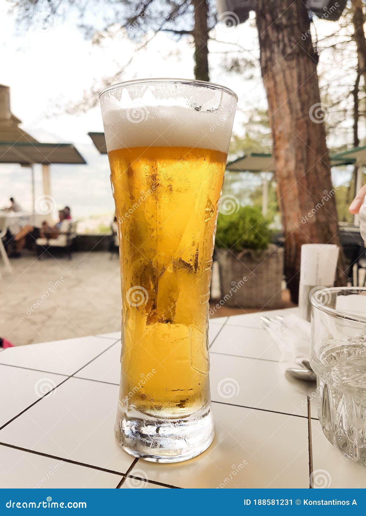 Beer Cold in a Forest Under Pine Trees Stock Image - Image of full ...