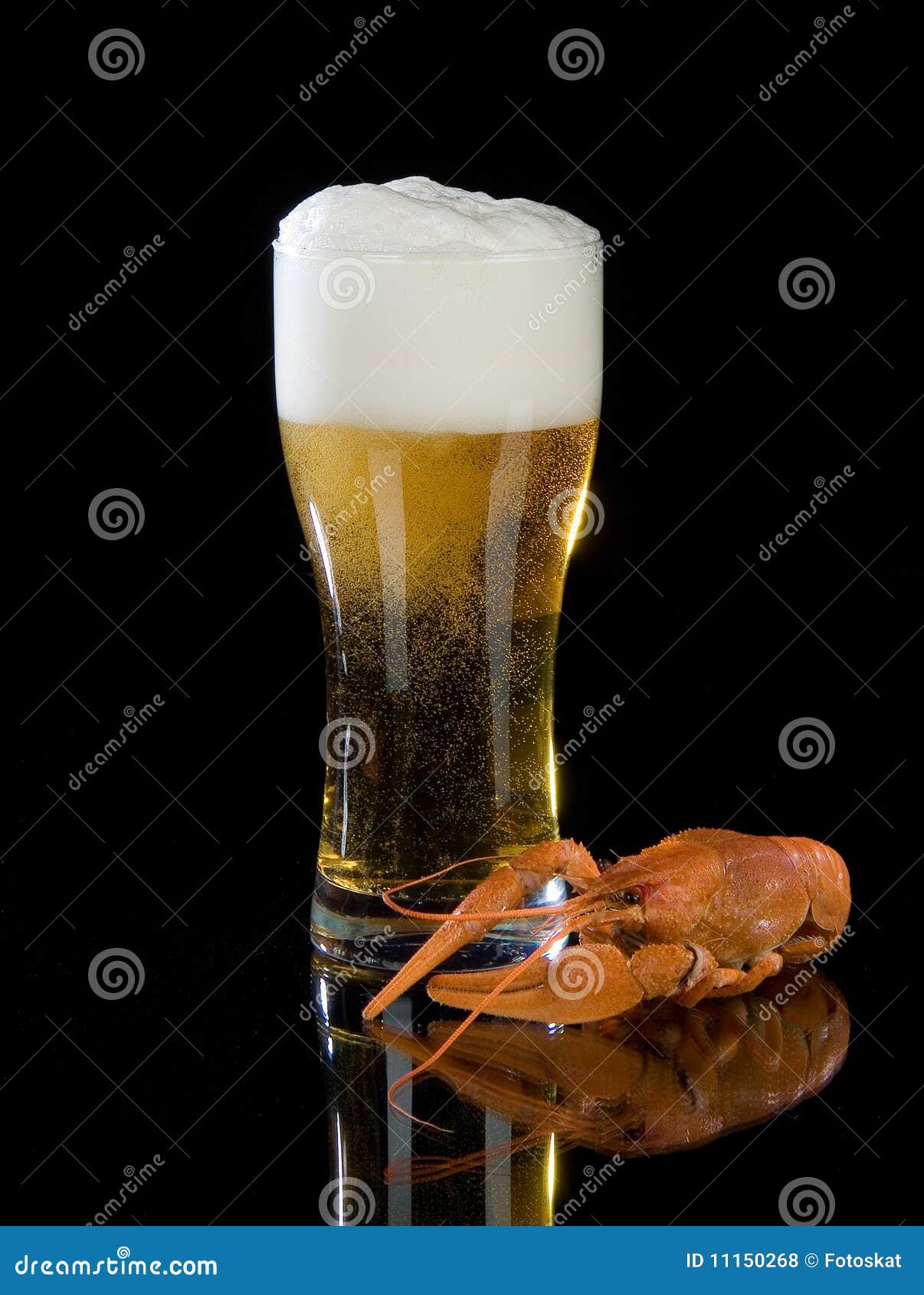 Beer and Crawfish stock photo. Image of full, gold, draught - 11150268
