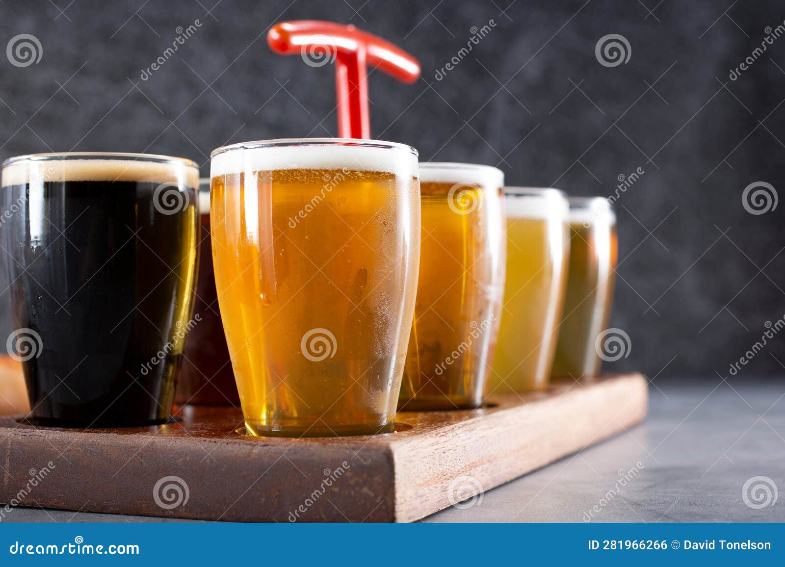 Beer flight stock photo. Image of glass, case, malt - 281966266