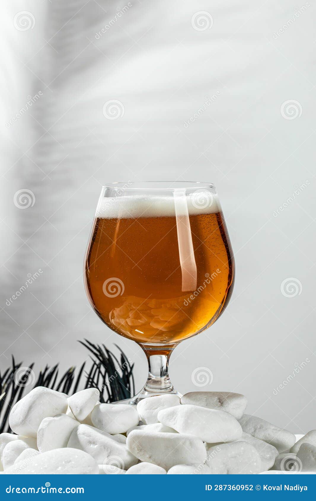 Beer with Foam Splash. Freeze Motion Splash Drops of Beer Foam Stock ...