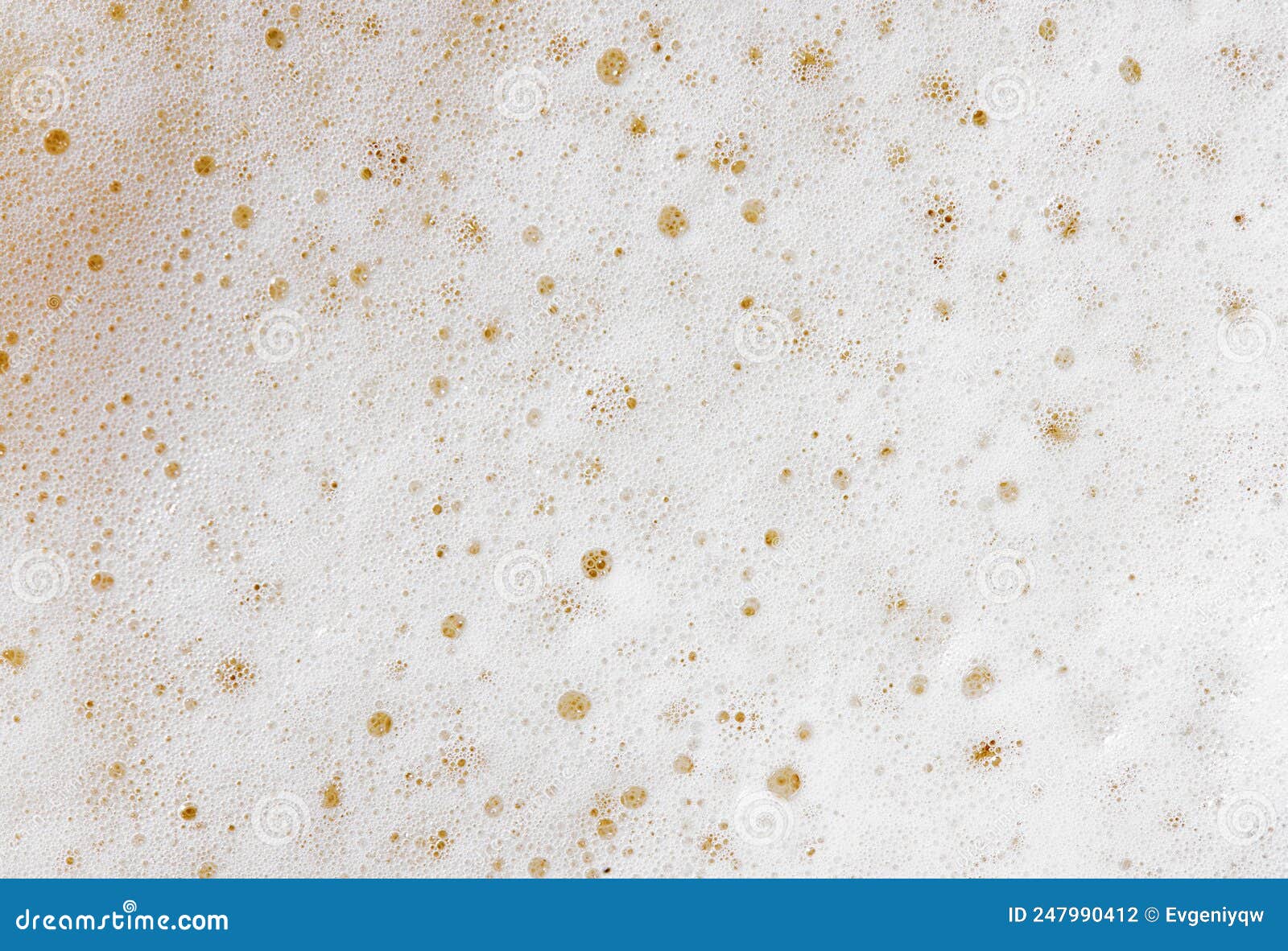 Beer Froth Texture