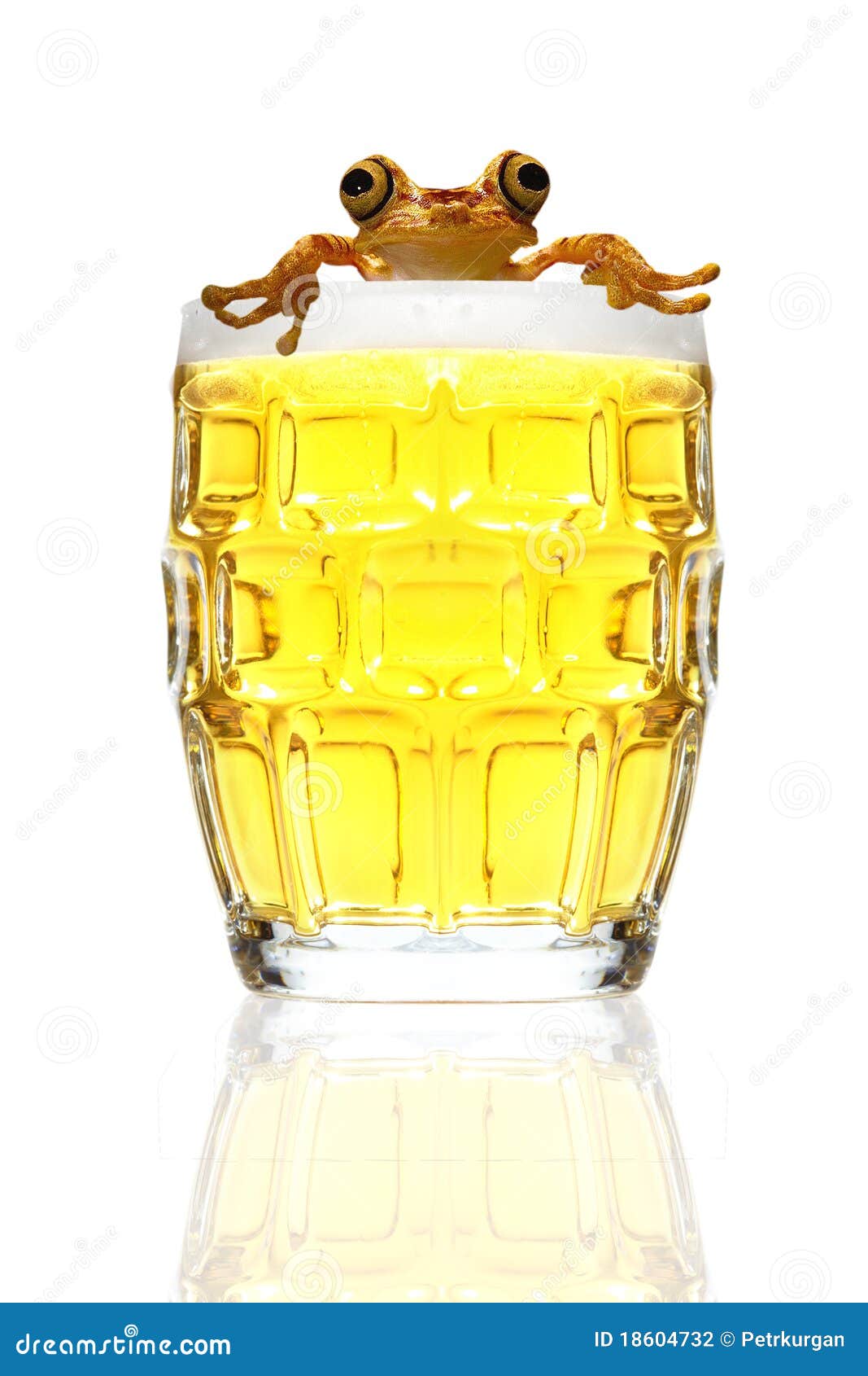 Frog Beer Stock Photos - Free & Royalty-Free Stock Photos from Dreamstime