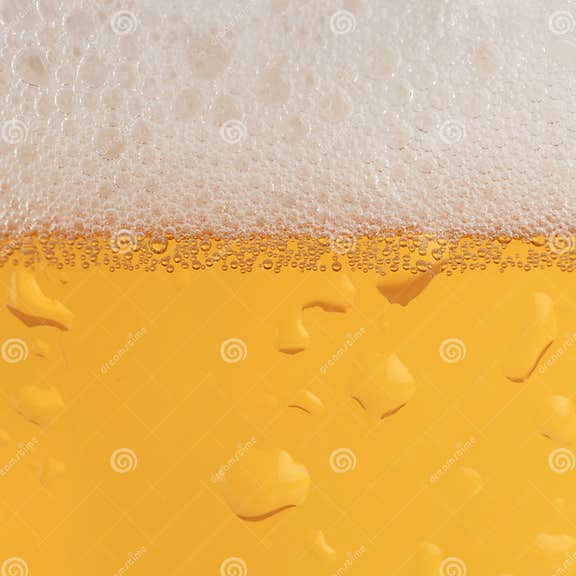 Beer with froth stock photo. Image of beer, macro, foam - 27986034