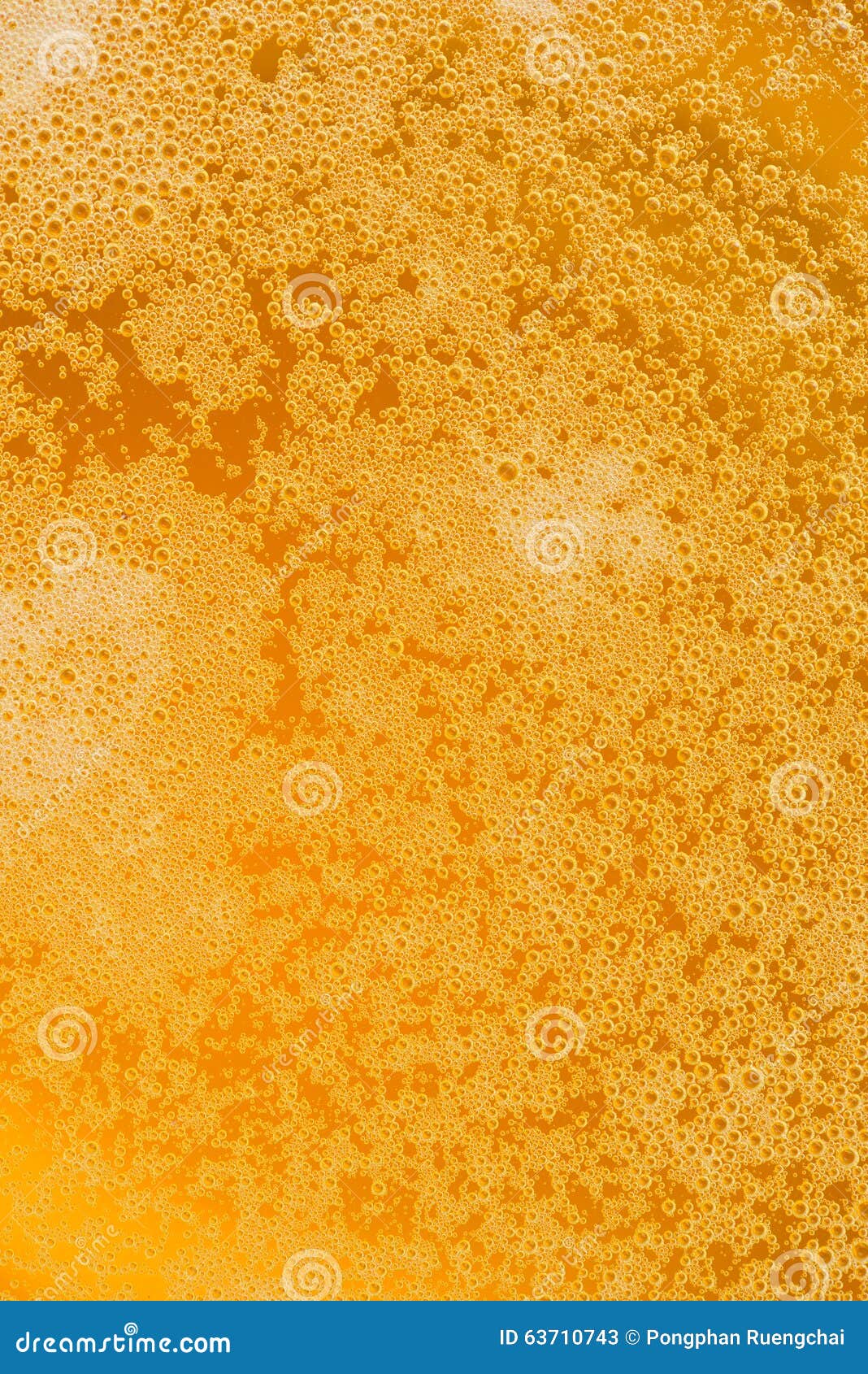 Beer froth stock image. Image of cold, temperature, fresh - 63710743